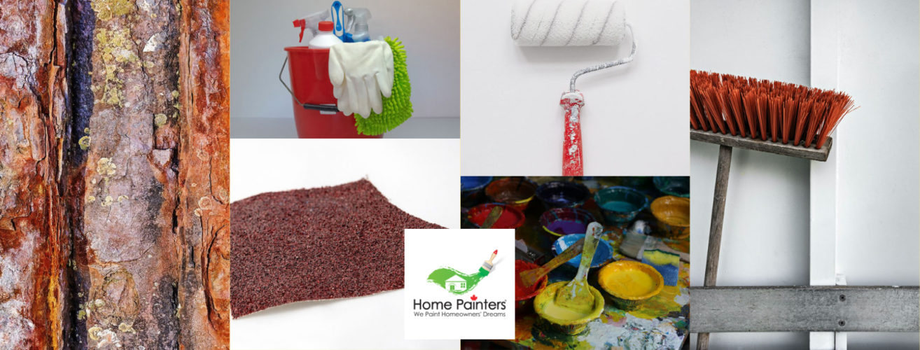 How To Paint Galvanized Steel Roofing Panels - Home Painters